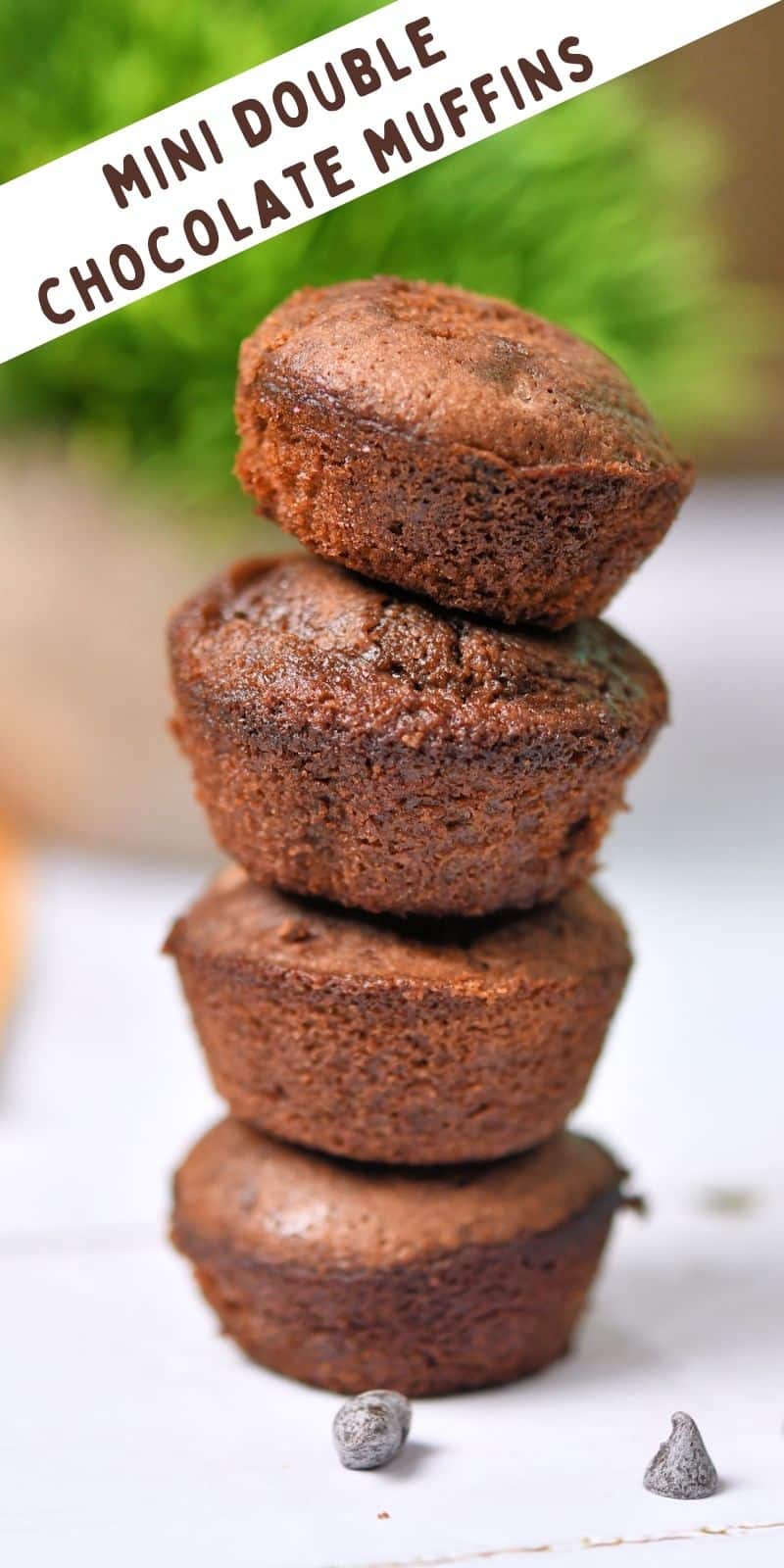 Chocolate Mini Muffins Recipe | 24Bite® Recipes