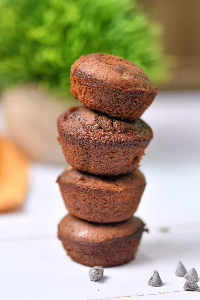 Chocolate Mini Muffins Recipe | 24Bite® Recipes