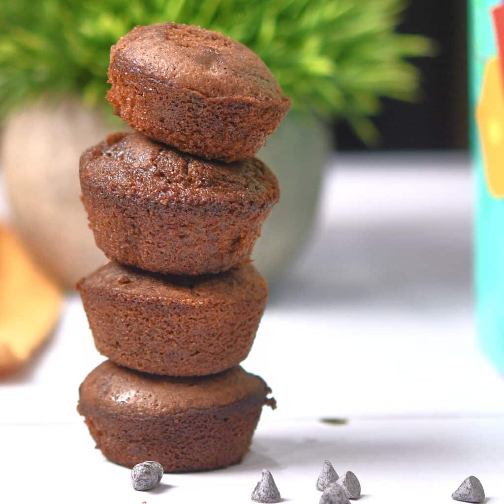 Chocolate Mini Muffins Recipe | 24Bite® Recipes