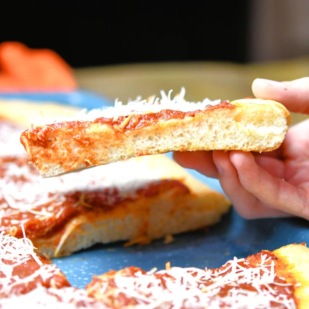 Philadelphia Tomato Pie Philly Style Pizza | 24Bite® Recipes