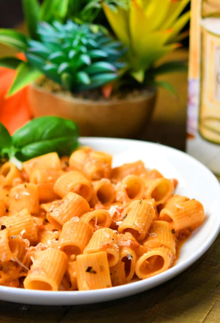 Creamy Marinara Pasta Recipe | 24Bite® Recipes